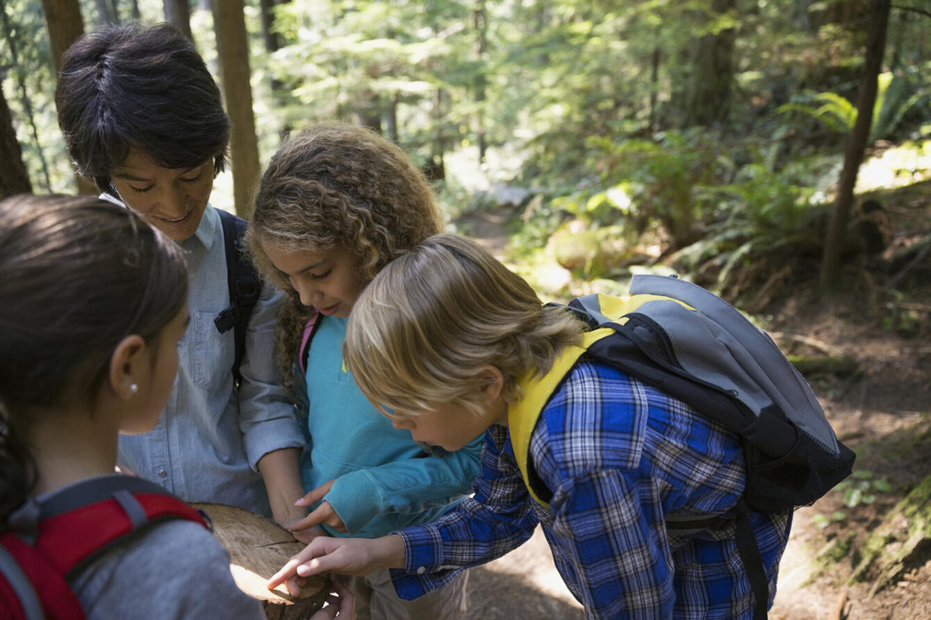 Online Scout Manager (OSM): Home